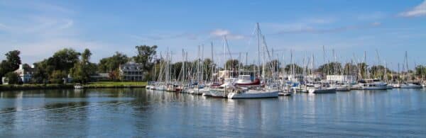 Daniel deLalla - Rutter Mills