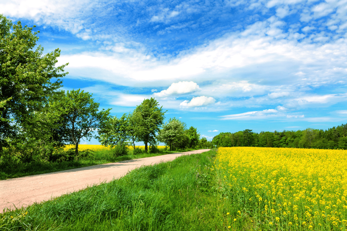 About Us | Rutter Mills